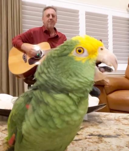 Tunas and storm clouds, and parrots, oh my! | Columns | keysnews.com