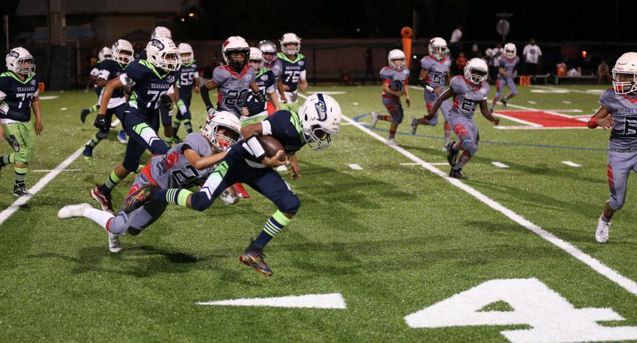 Gators, Bulldogs on crash course, Seahawks, Jags maintain perfection ...