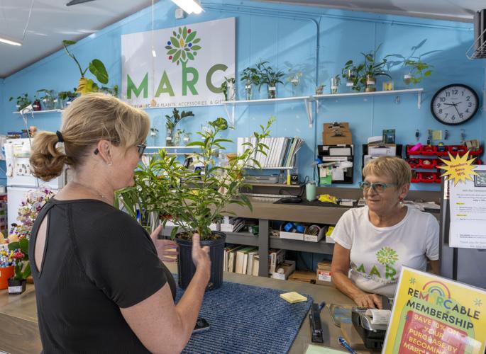 Newly renovated MARC House Plant Store blooms with purpose | Local News ...