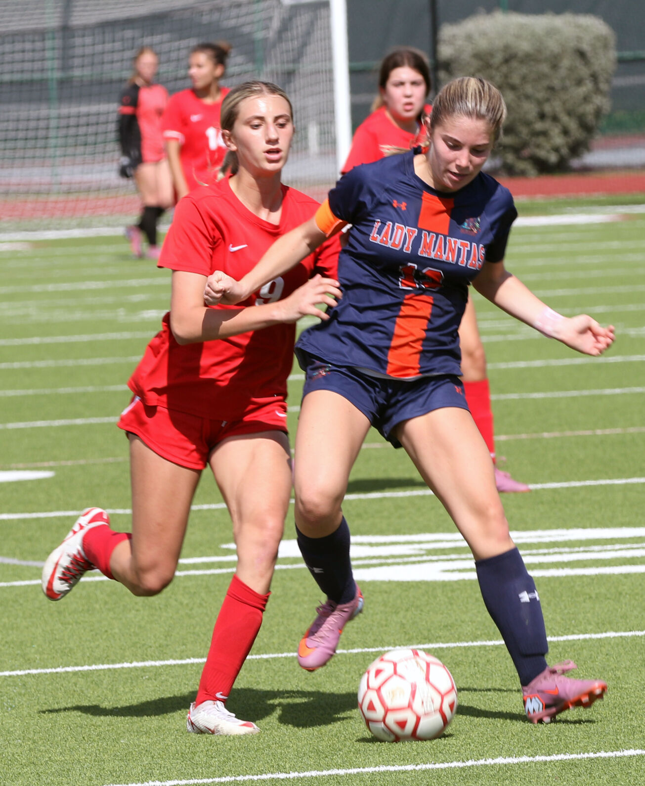 Lady Conchs enter postseason after sweep of 'Fins, split with Rays ...