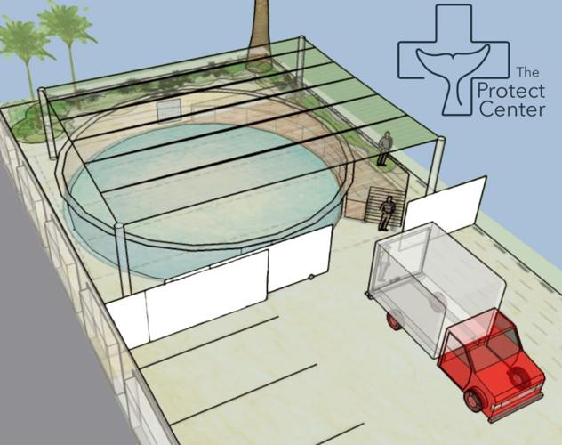 Council to consider dolphin hospital request | Upper Keys | keysnews.com