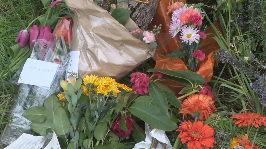 Eugene community members remember the life of Sharon Schuman | News ...