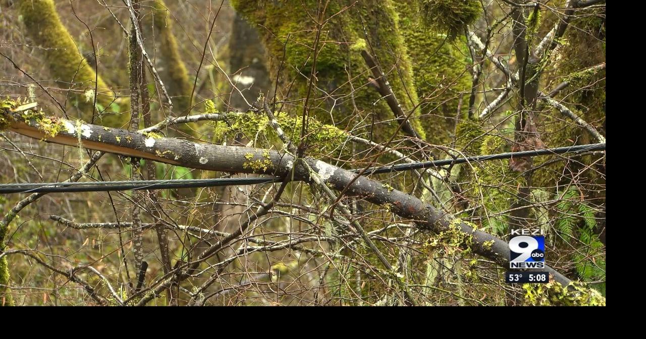 Downed phone lines cause community concern | Video | kezi.com