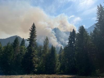 mckenzie bridge fire