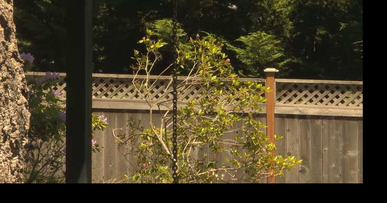 Rural Lane County Residents can apply for Firewise grants for more fire ...