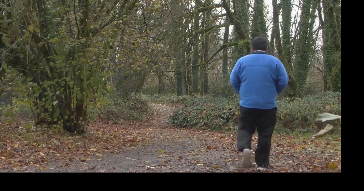 Springfield's Dorris Ranch to begin final tree removal in multi-year ...