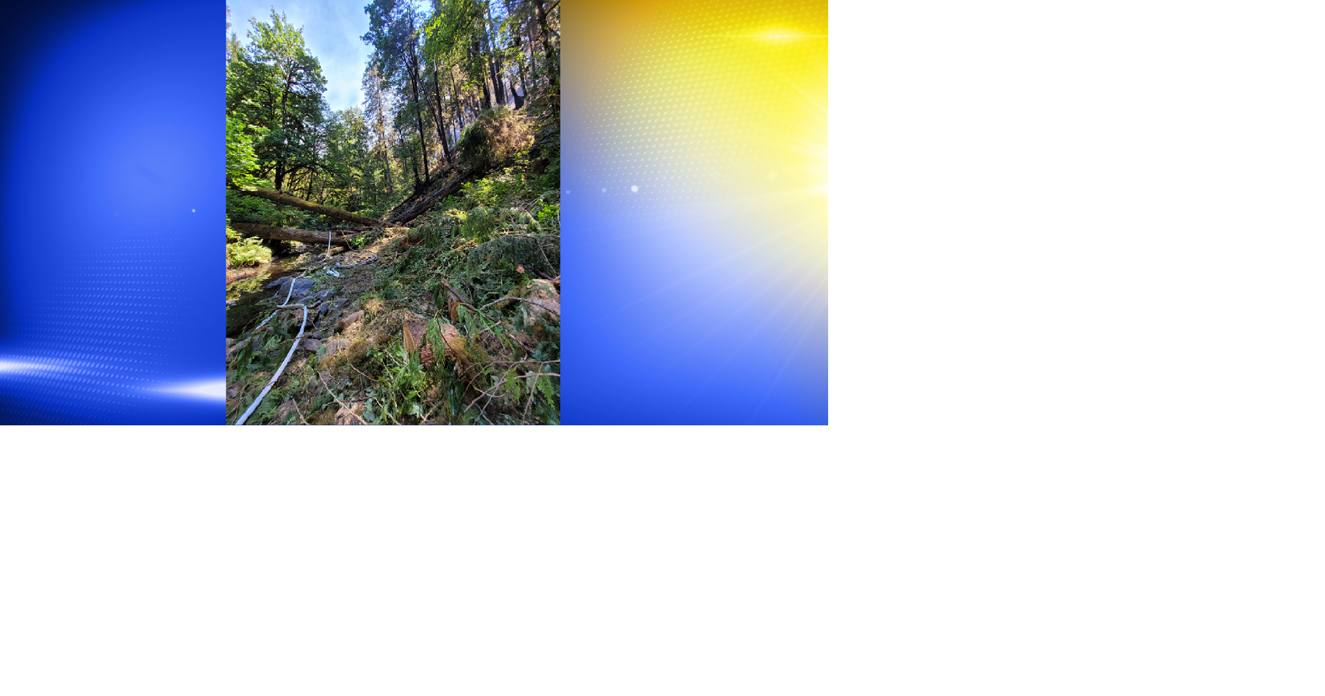 Wiley Creek Fire evacuation orders lifted as crews reach 45 percent ...