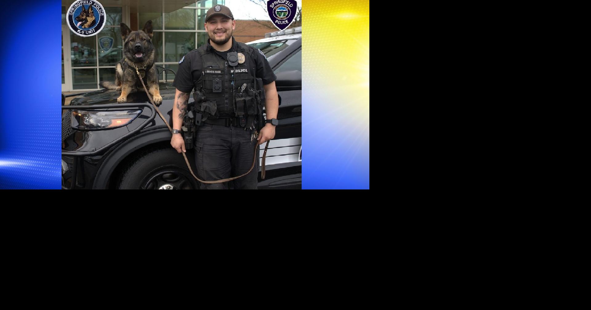 Springfield police welcome two new additions to K9 unit | Local | kezi.com