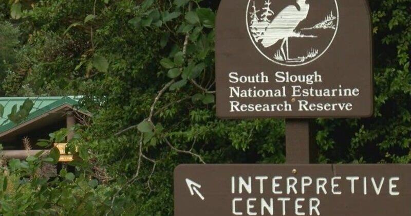 Court documents reveal disturbing details about Coos County attempted ...