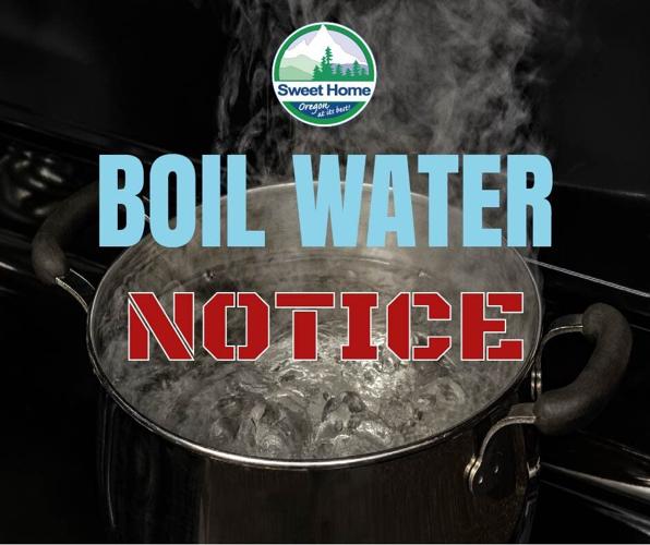 how to boil water cast