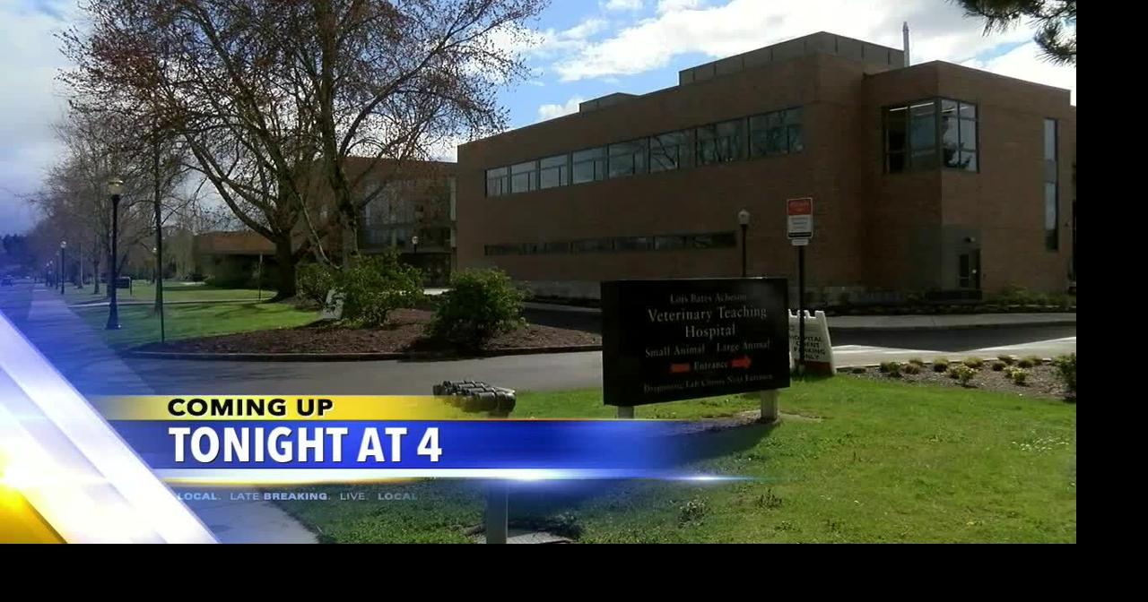 Coming up on KEZI 9 News at 4: New OSU veterinary care facility. Health ...