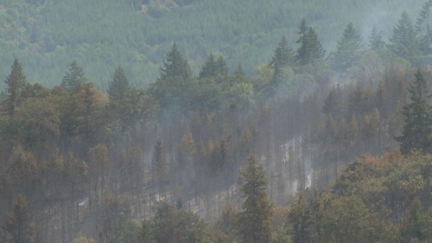 Fire crews, evacuees talk about the Priceboro Fire | News | kezi.com