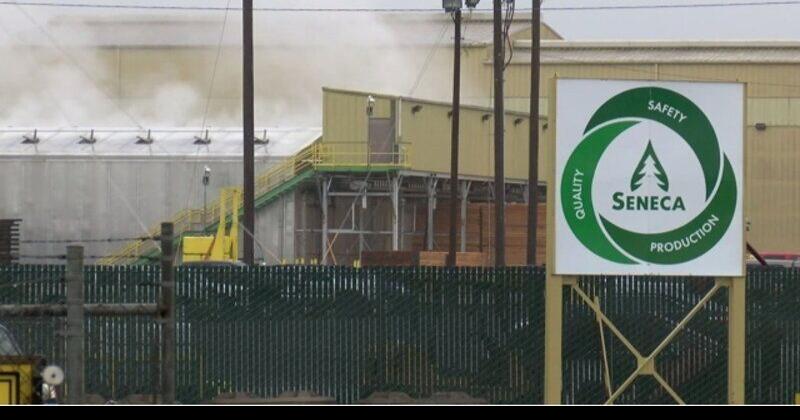 West Coast lumber company plans to buy Seneca Sawmill | Local | kezi.com