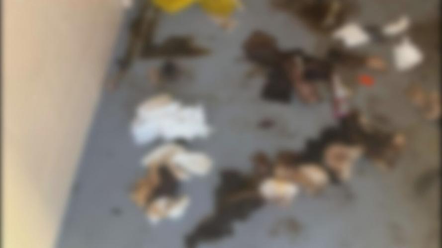 Lebanon park bathroom broken into and left trashed with human fecal ...