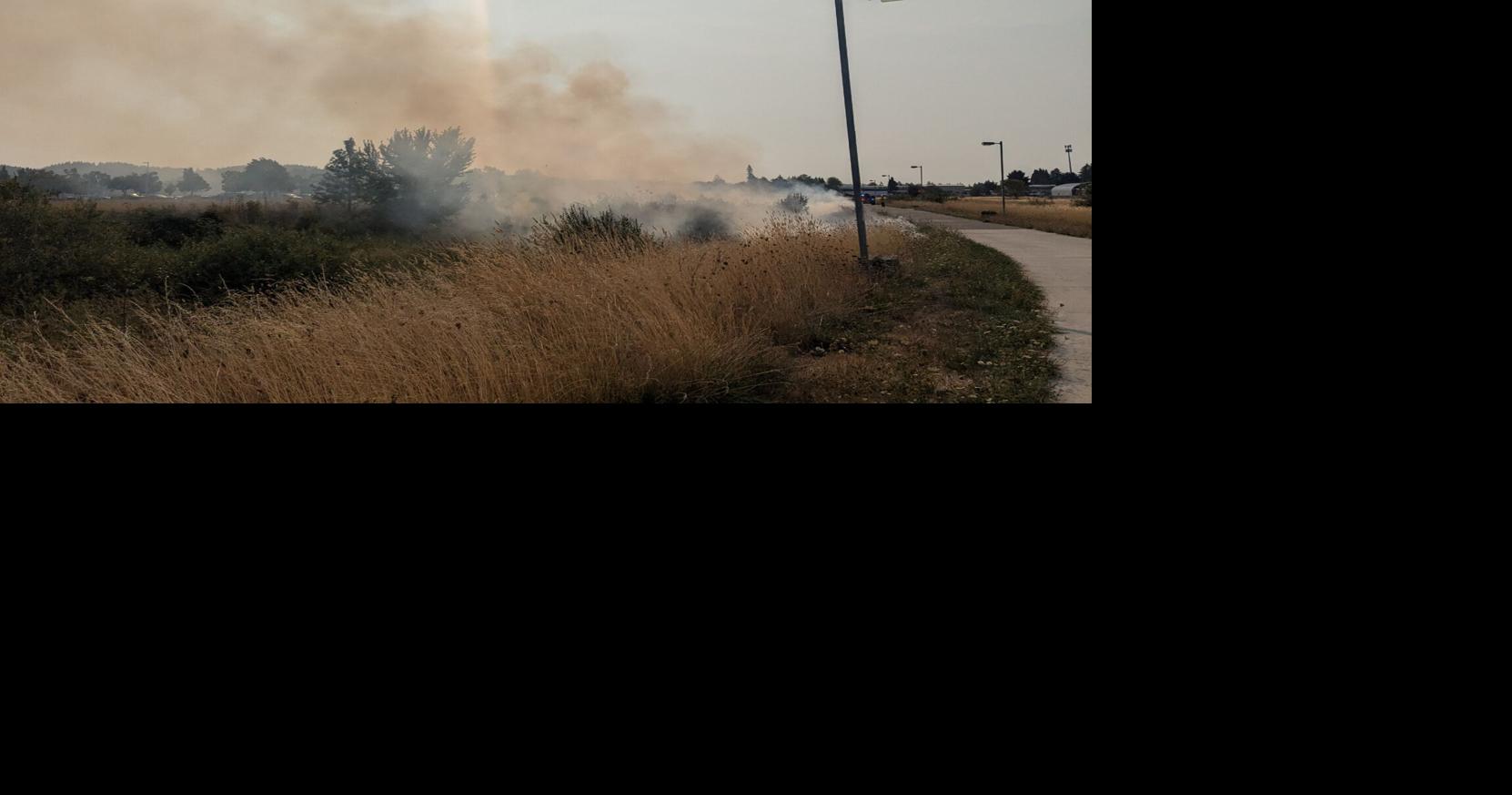 Eugene Springfield Fire crews respond to three brush fires and one ...