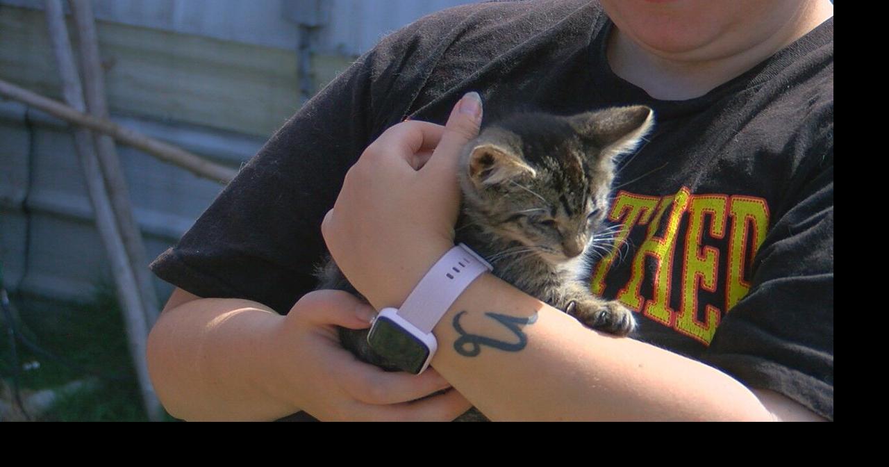 Animals being dumped on the side of the road near Sweet Home weigh on ...