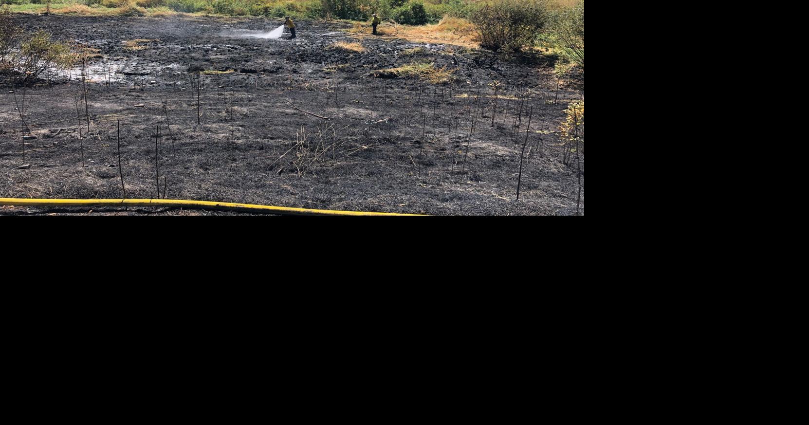 Crews fighting grass fires in west Eugene | FireWatch | kezi.com