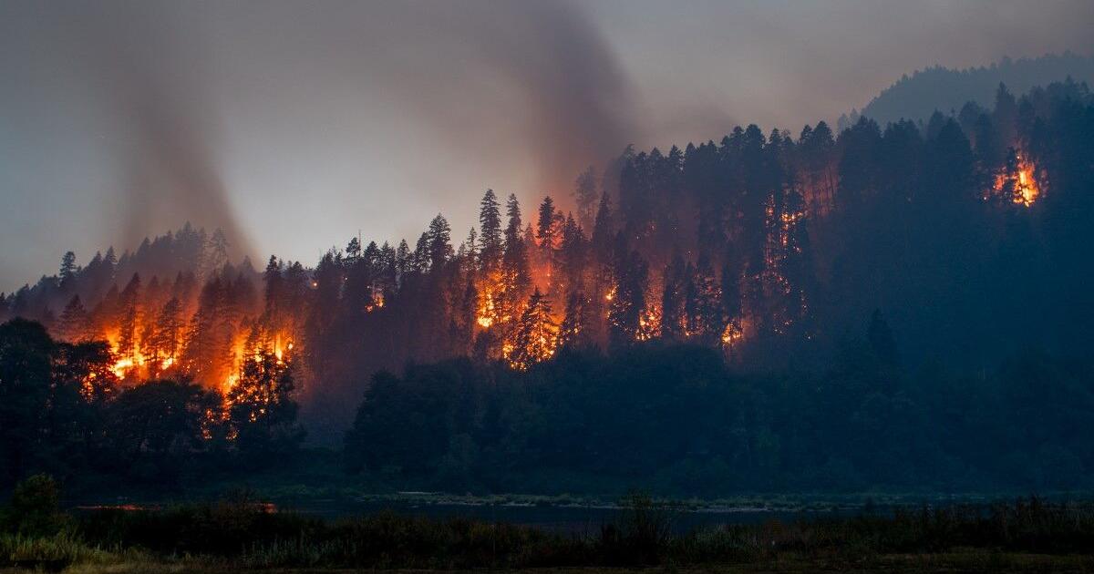 Tyee Ridge Complex evacuation notices downgraded as containment ...