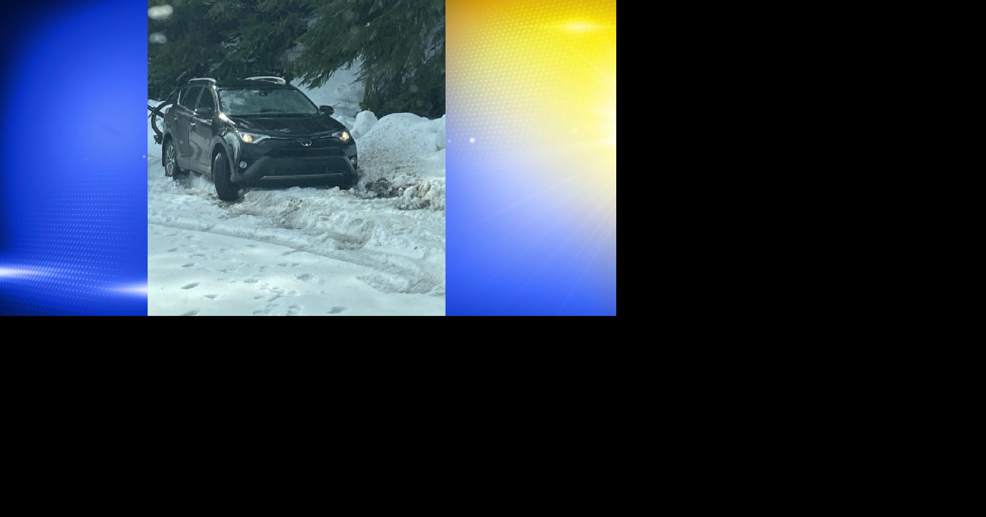 Woman and dogs rescued from stranded vehicle after being stuck in snow ...