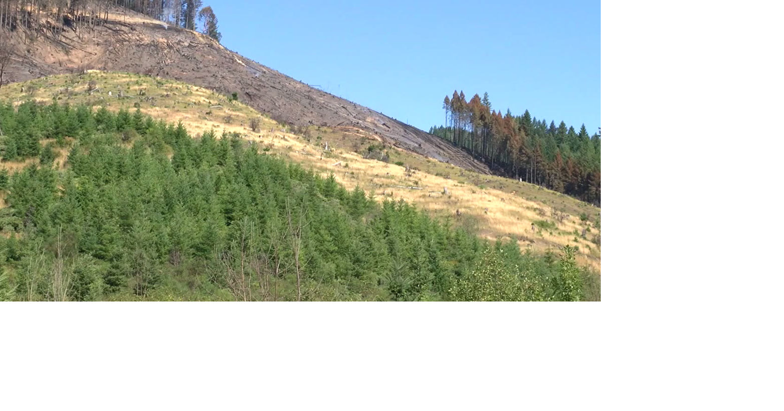 Fire weather expert lays out the outlook for 2023 fire season | News ...