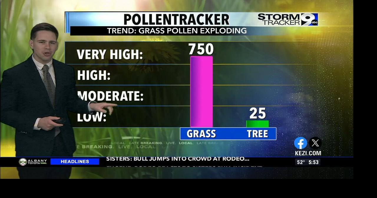 Grass pollen exploding in Eugene area | Video | kezi.com