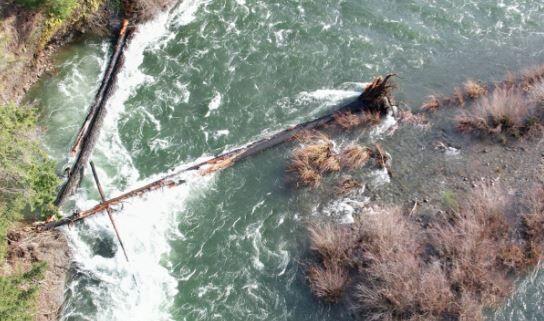 Lane County sheriff’s officials warn of McKenzie River obstruction ...