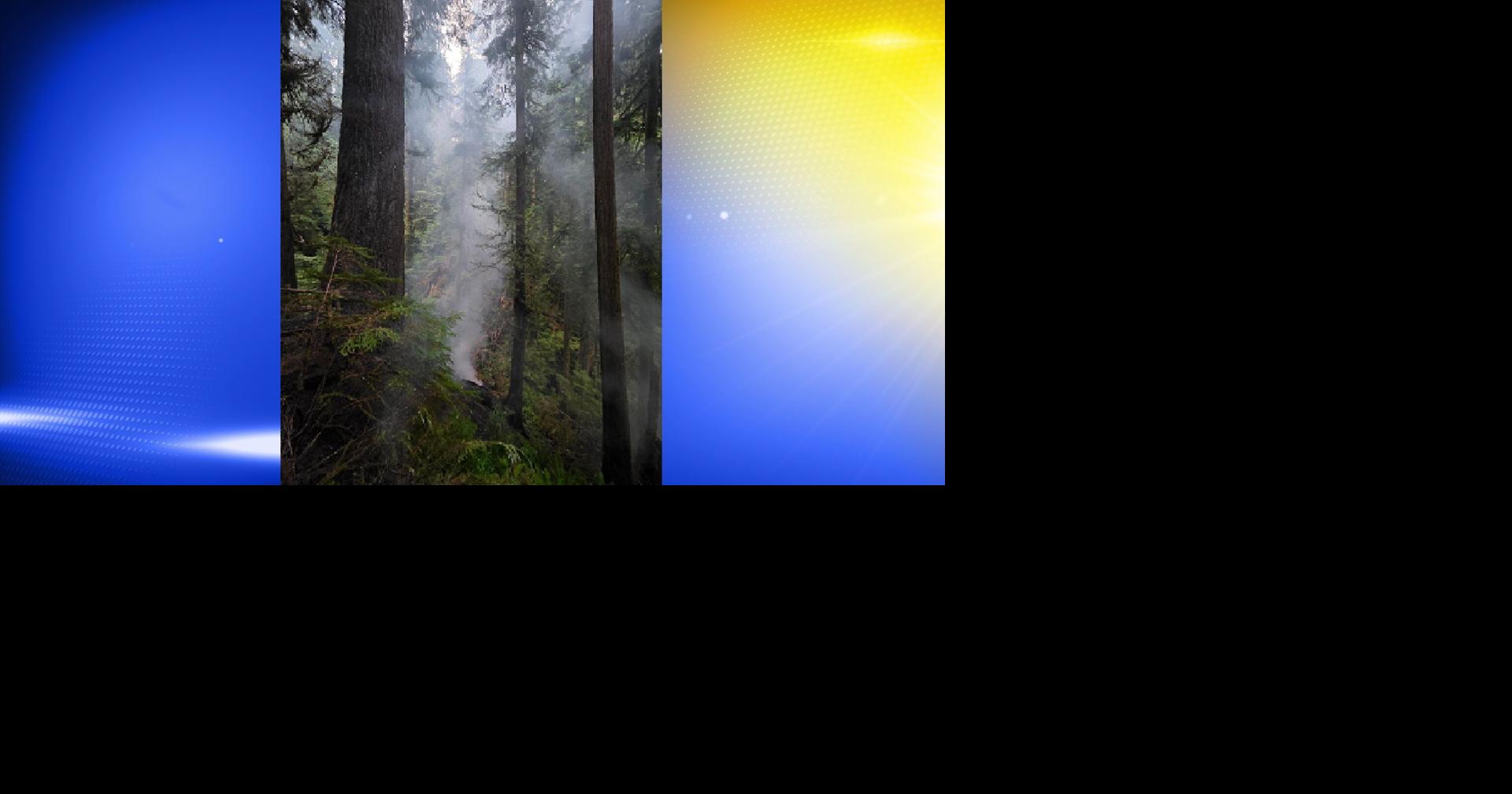 Firefighters battle to save iconic Doerner Fir tree near Coquille ...