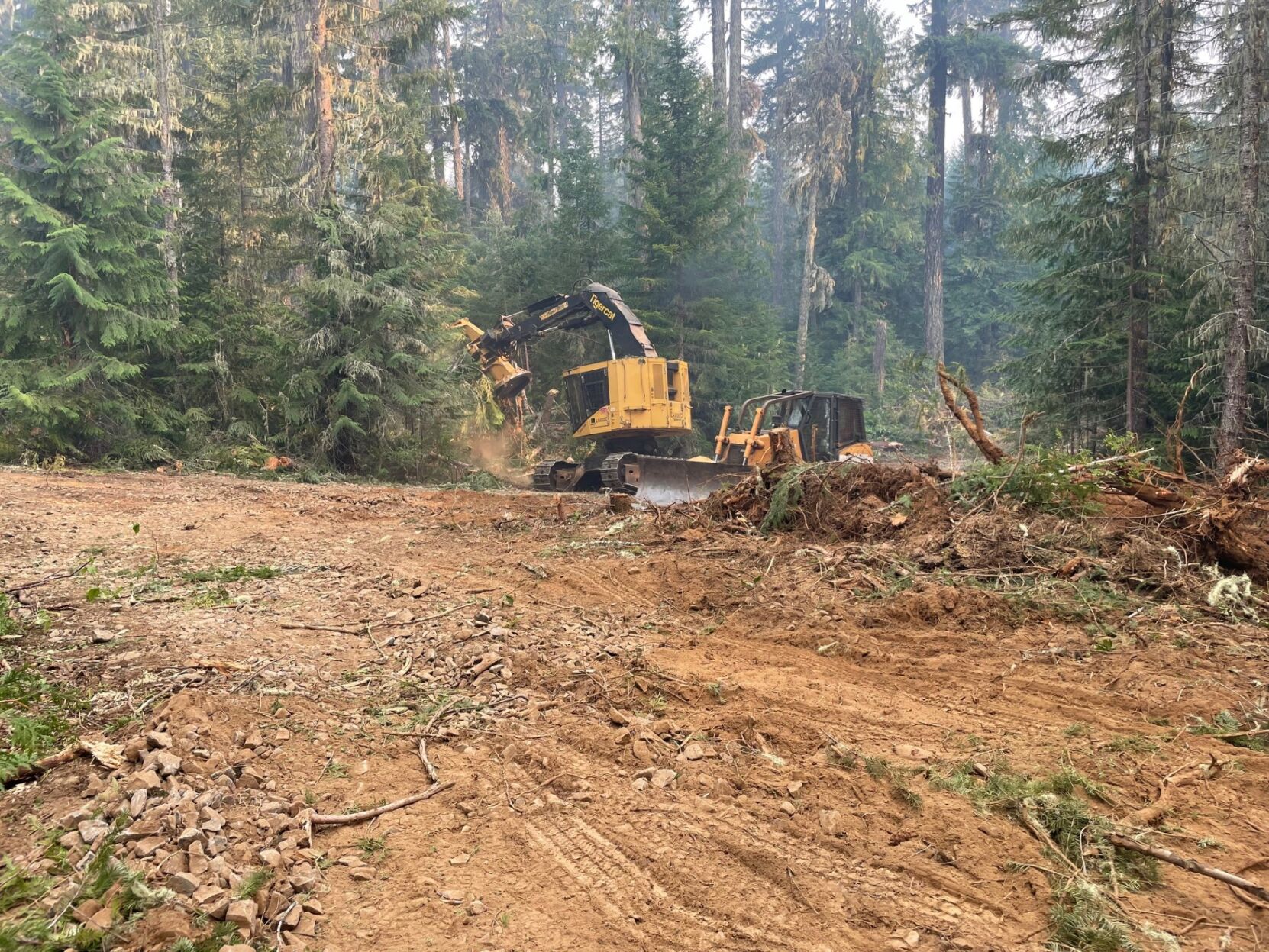 Foley Ridge Fire grows to 482 acres, remains uncontained | Local | kezi.com