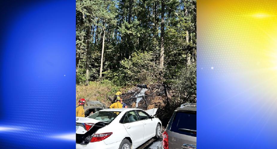Firefighters quickly respond to car fire that spread into vegetation at ...