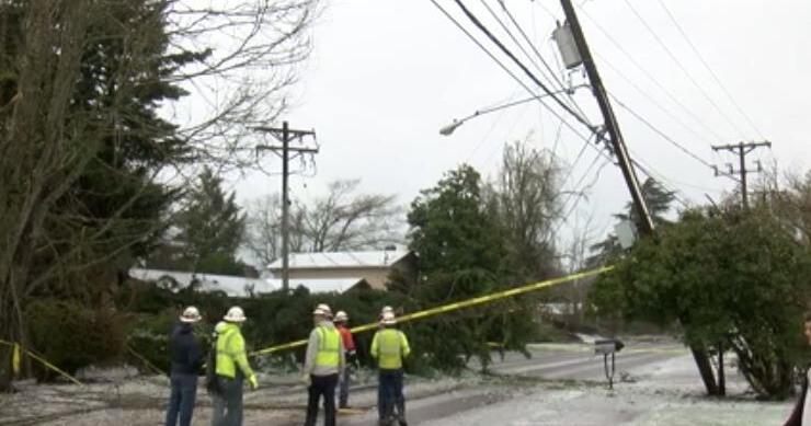 State forestry incident management teams dispatched to aid in Lane ...