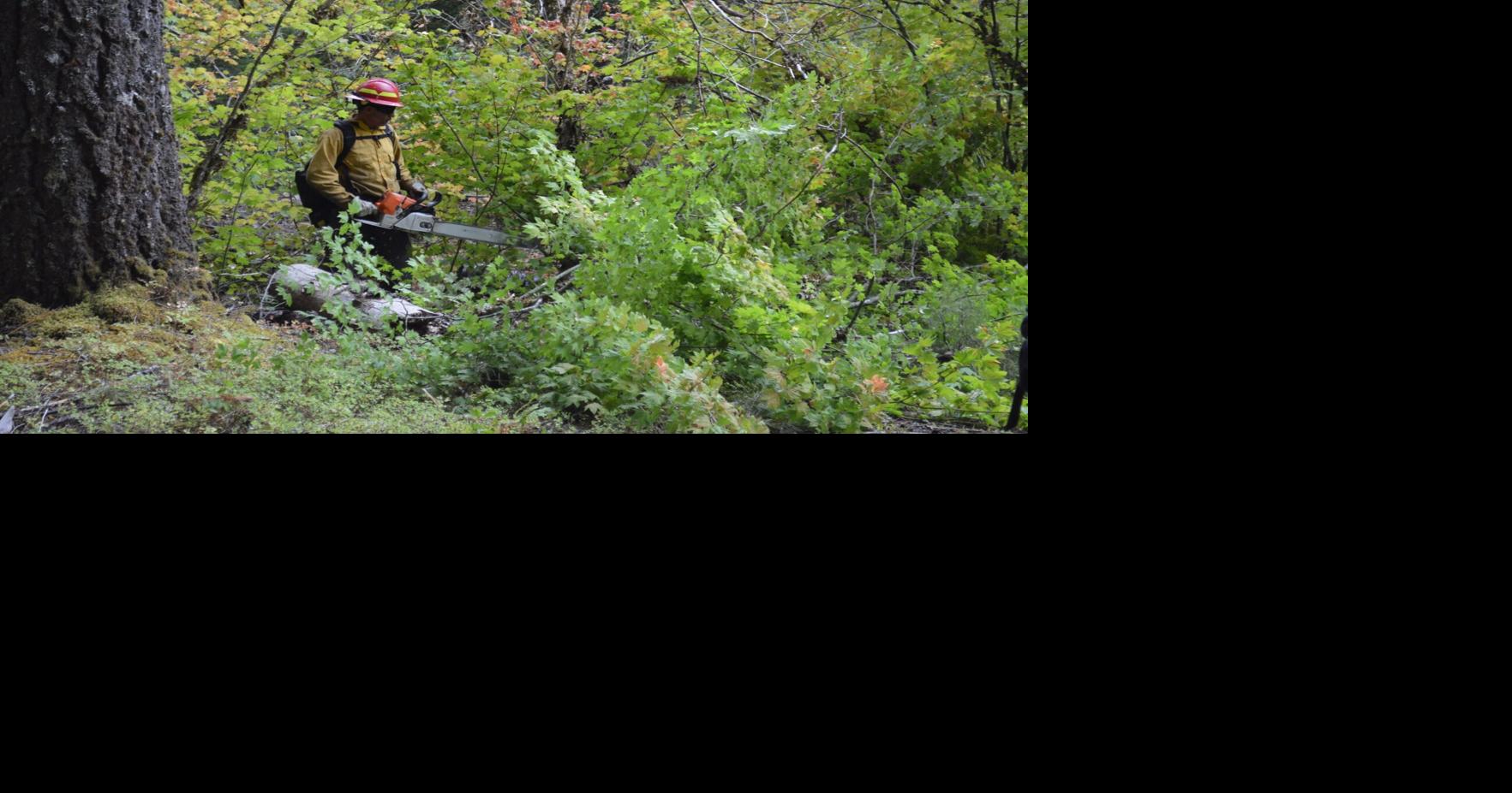 Foley Ridge Fire expands to 249 acres; crews work to contain blaze ...