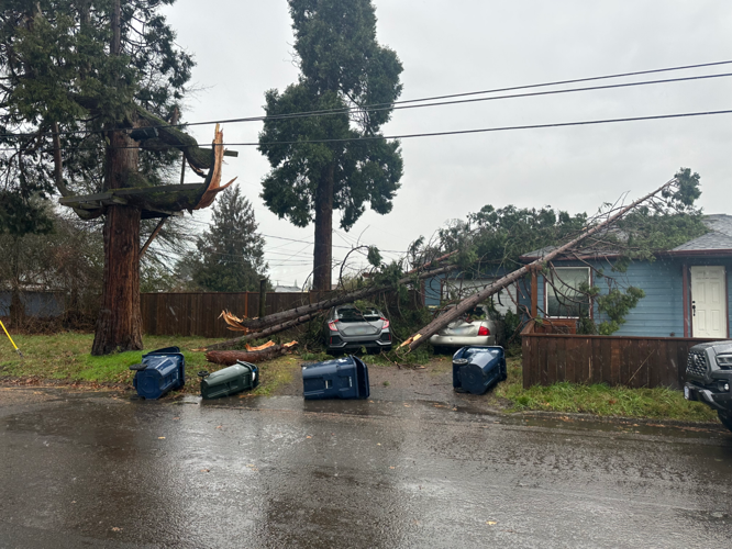 Springfield utility workers responding to wind-related power outages ...
