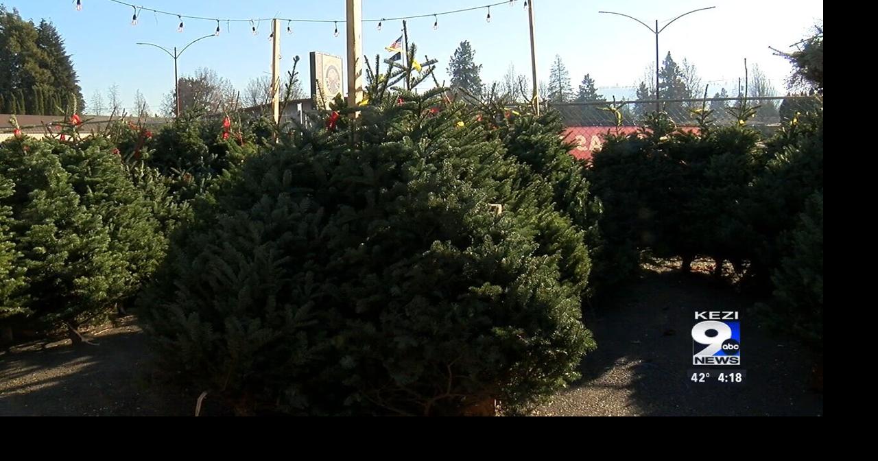 Trees for Hope fundraiser raising awareness for addiction and recovery ...