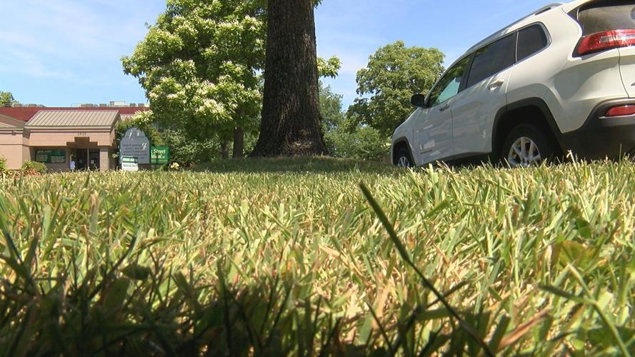 Extremely high grass pollen levels leave Eugene residents suffering ...