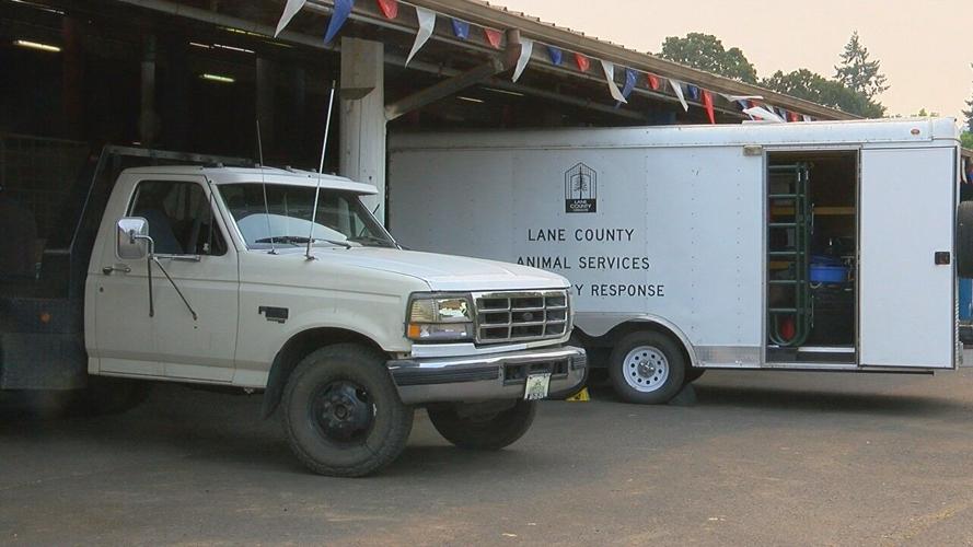 Local groups host evacuation centers for Bedrock Fire | News | kezi.com