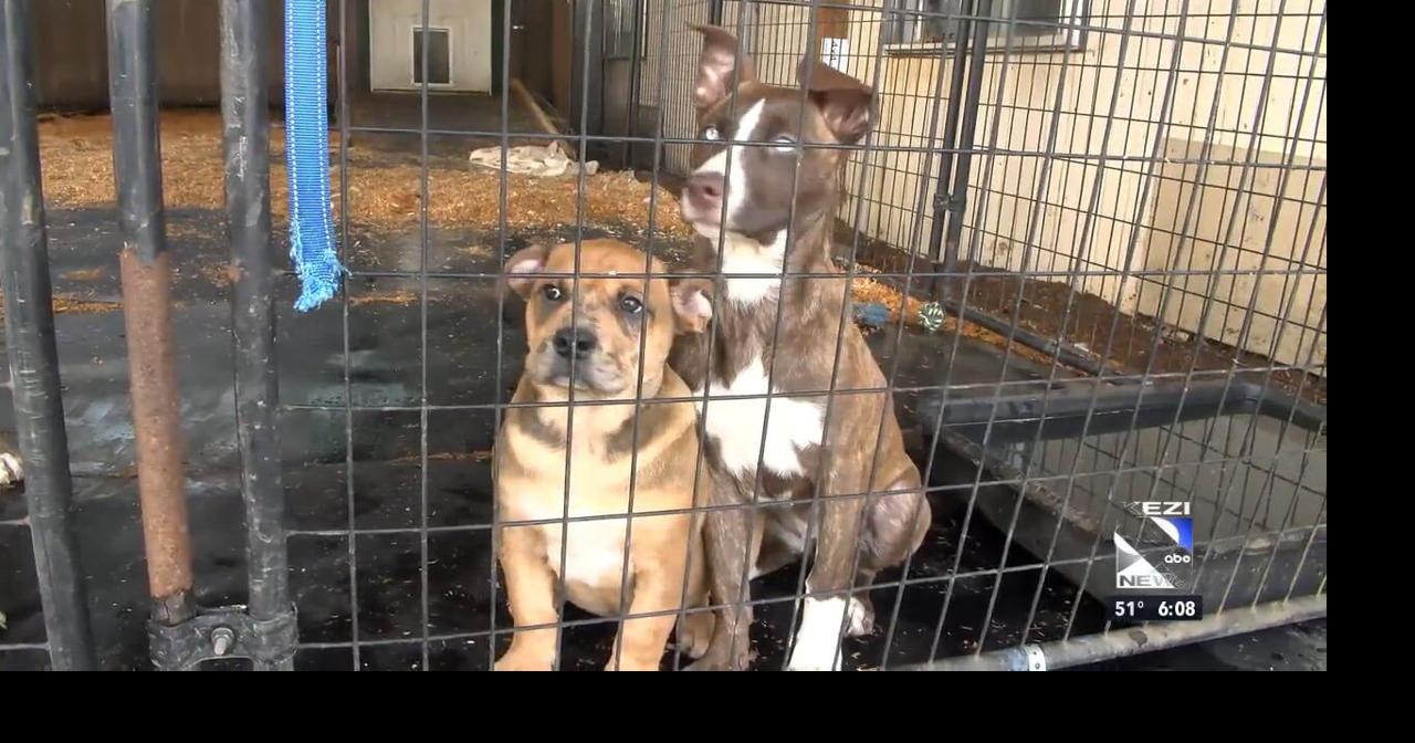 ODA proposing amendments to Animal Rescue Entity licensing rules ...