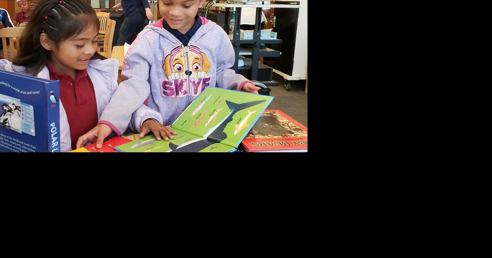 Springfield volunteers needed for SMART Reading's literacy mission ...