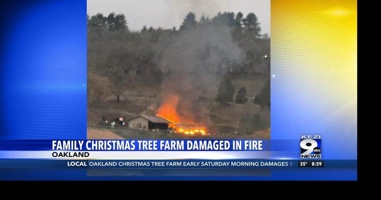 Family Christmas tree farm damaged in fire | Video | kezi.com
