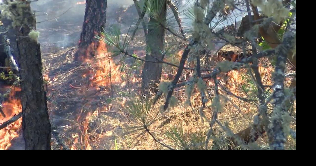 Upper Applegate Fire grows to 500 acres | Video | kezi.com