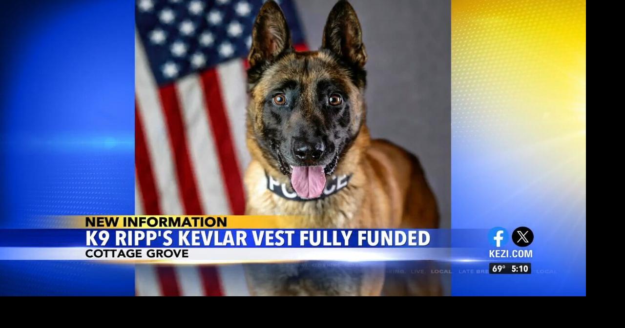 K-9 Ripp's Kevlar vest fully funded | Video | kezi.com