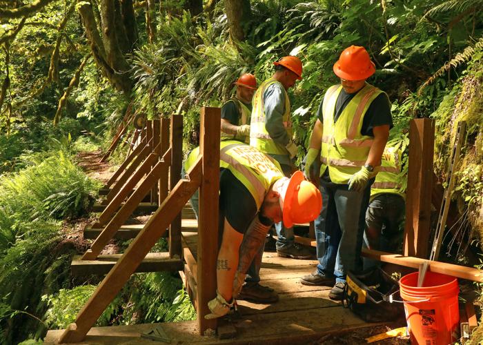 Butte Creek Falls park to reopen | | kezi.com