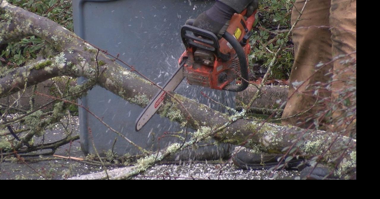 Arborists give tips on how residents can help out with tree clean up ...