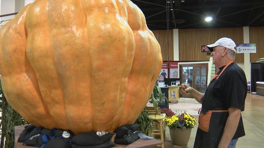 Lane County Home Improvement Show kicks off for weekend of home and ...