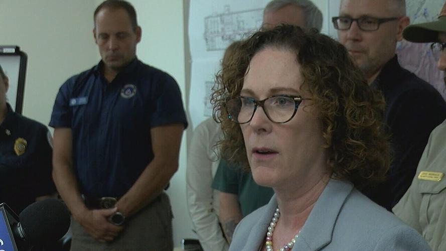 Republican congressional candidate Monique DeSpain alleges incumbent ...