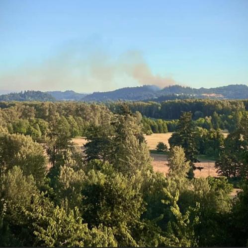 Crews battling grass fire in Moon Mountain City Park in Eugene | News ...