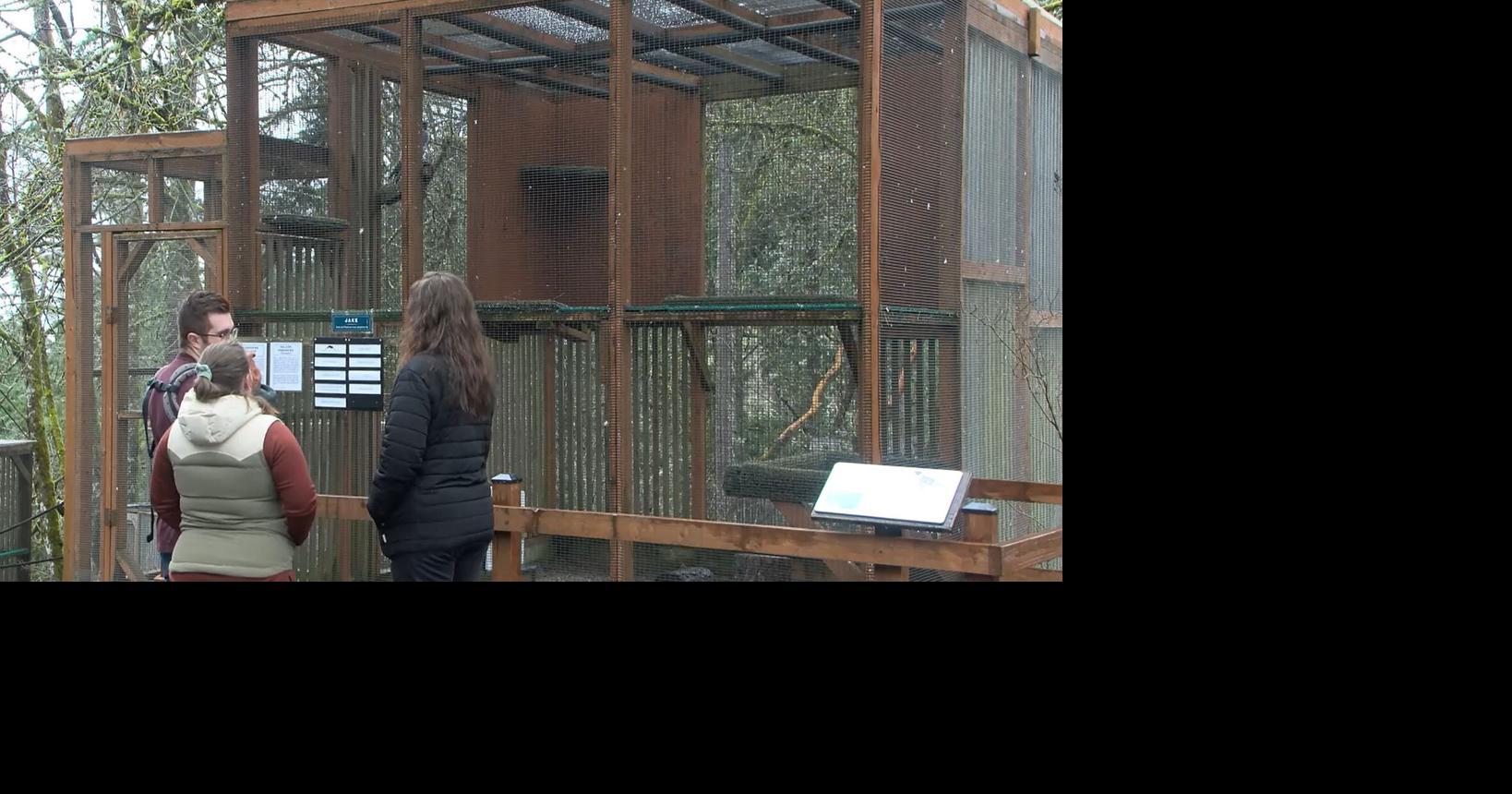 Cascade Raptor Center reopens after overwhelming community support ...