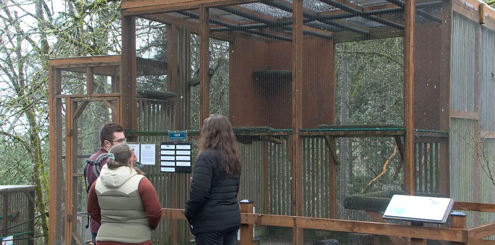 Cascade Raptor Center reopens after overwhelming community support ...