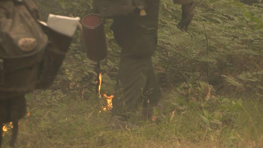 Fire crews fight fire with fire as they work to establish a fire line ...