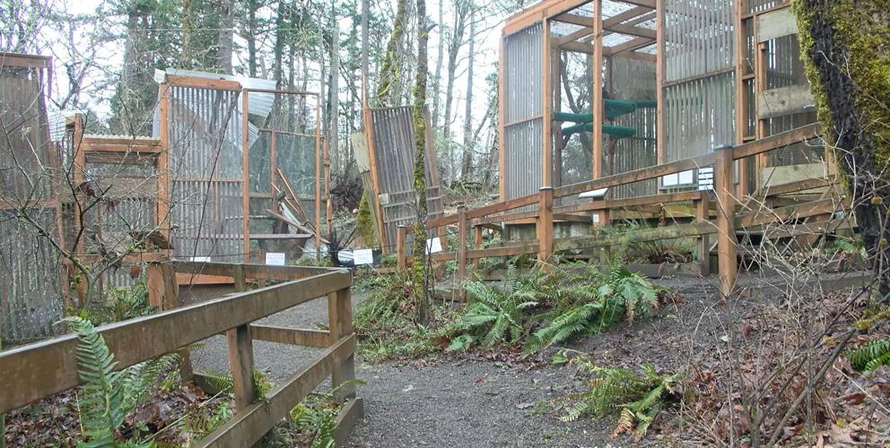 Cascade Raptor Center reopens after overwhelming community support ...