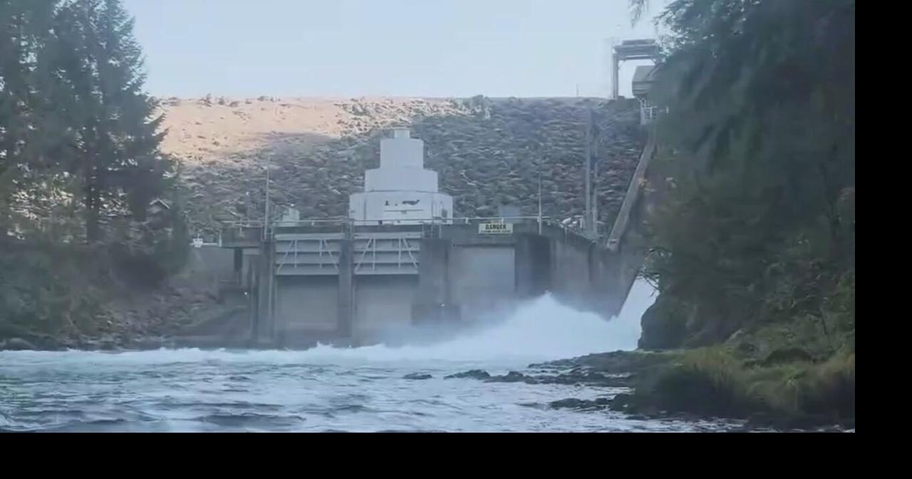 EWEB faces lawsuit from Oregon conservation groups over lack of fish ...